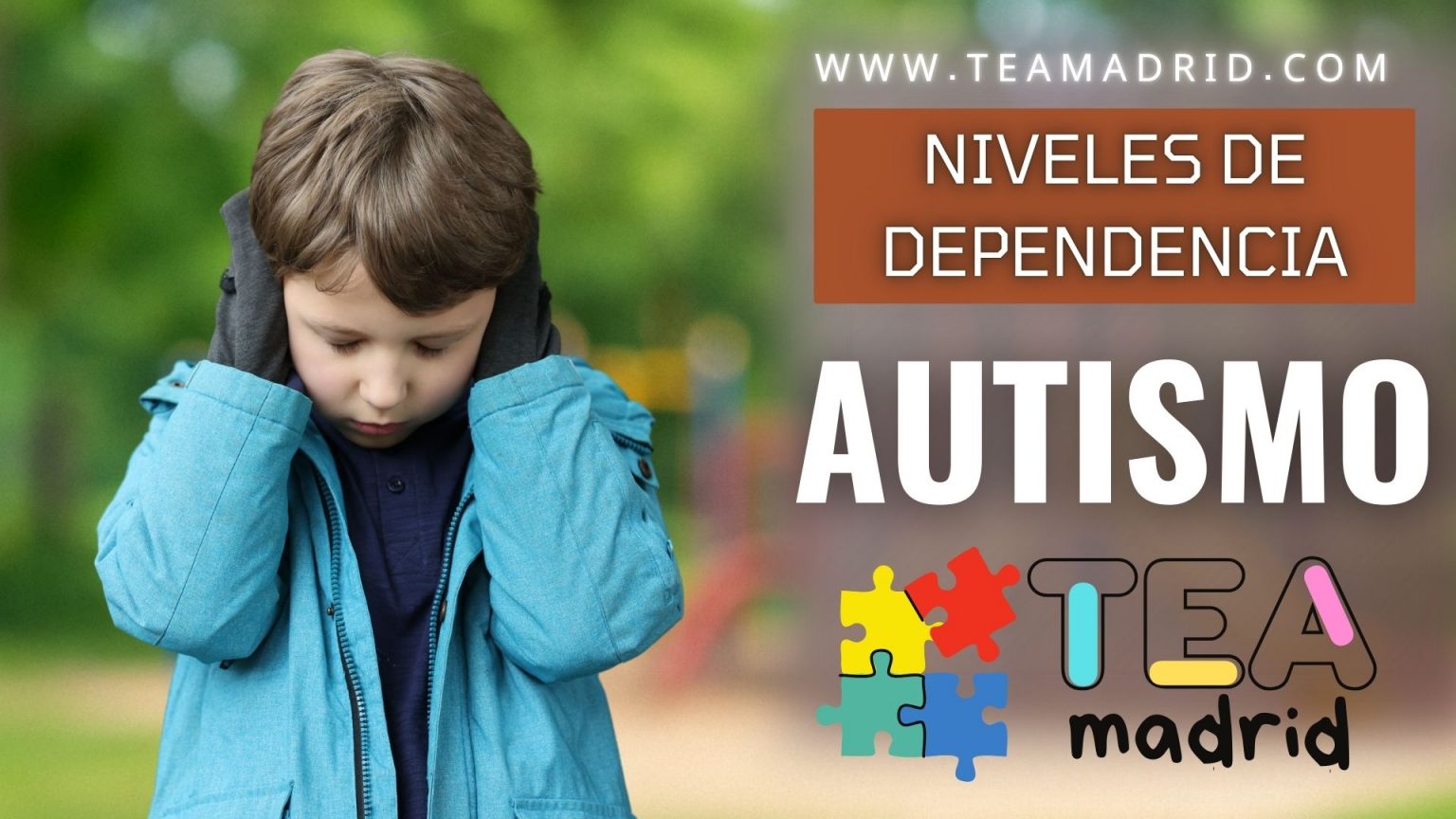 ¿Qué es el Nivel de Dependencia en Autismo? - Autismo Madrid